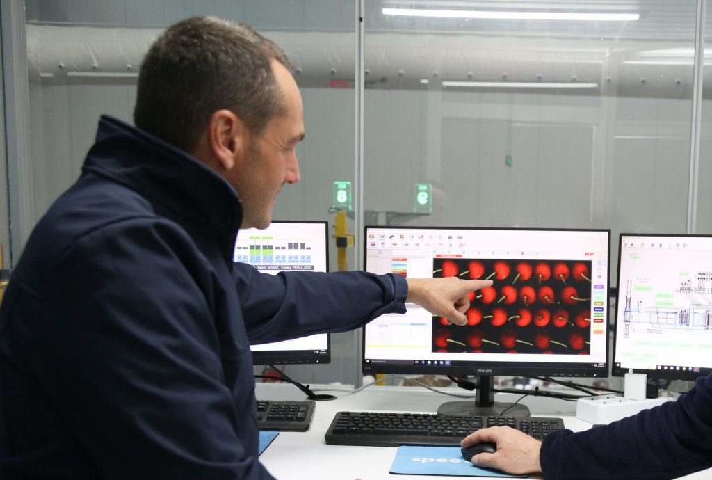 Cherry Quality Control System - New Ocean Group